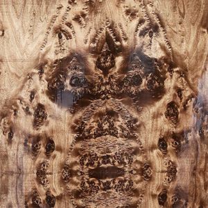 Space One - Infinite Surface Solutions